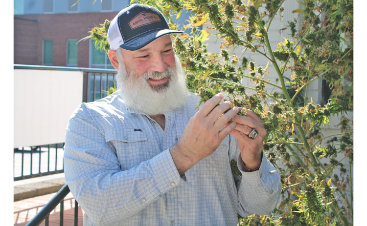 Local | The Dahlonega Nugget, Dahlonega, GA
